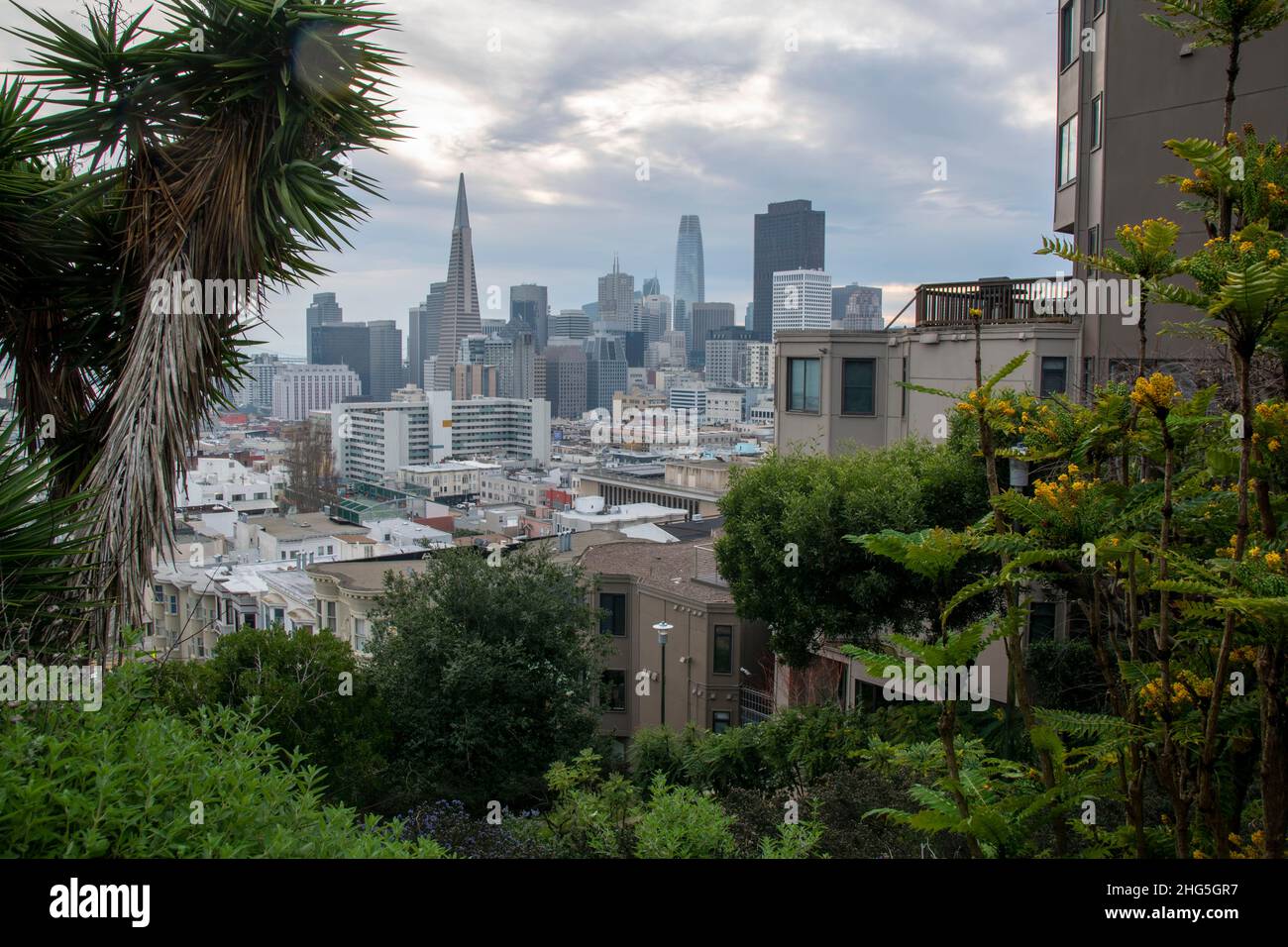 San Francisco's Ina Coolbrith Park provides some fantastic views of the ...