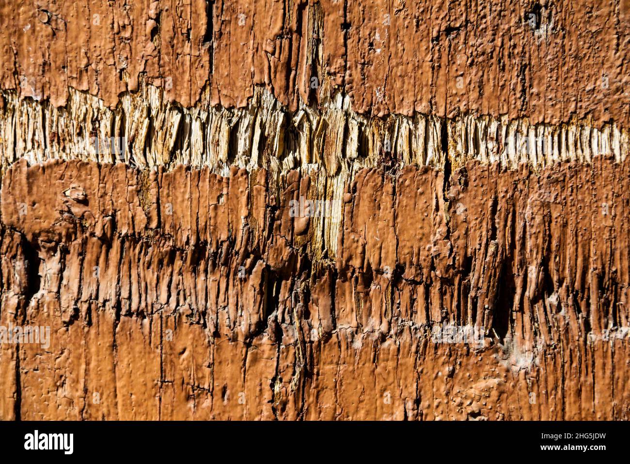 brown colored broken wood texture with break marks Stock Photo - Alamy