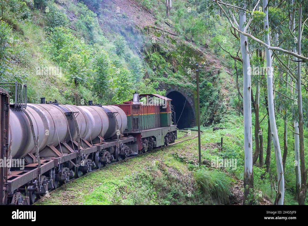 Set of tanks with oil and fuel transport by rail. Freight cars and ...
