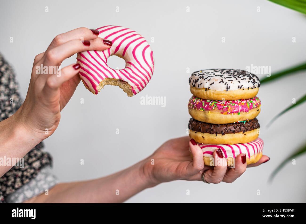 Female holds in hand colorful stack of glazed donuts. White background ...