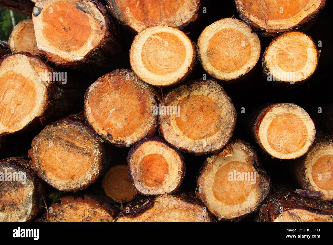 Core logging hi-res stock photography and images - Alamy