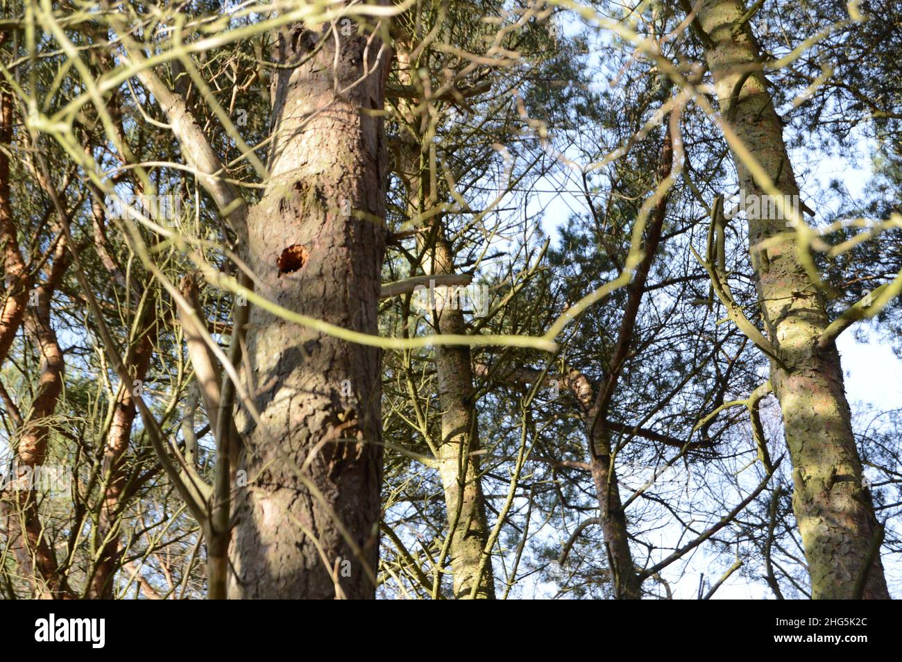 Magus muir hi-res stock photography and images - Alamy