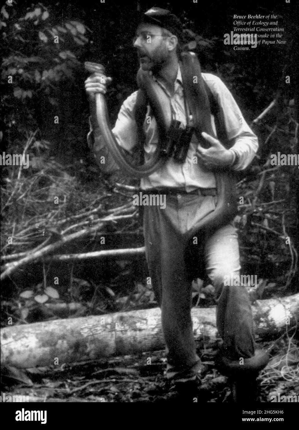 Bruce beehler hi-res stock photography and images - Alamy