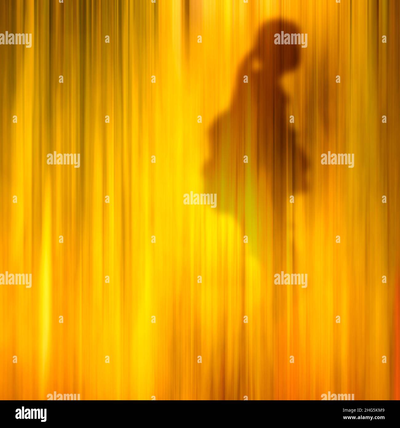 Runaway bundle hi-res stock photography and images - Alamy