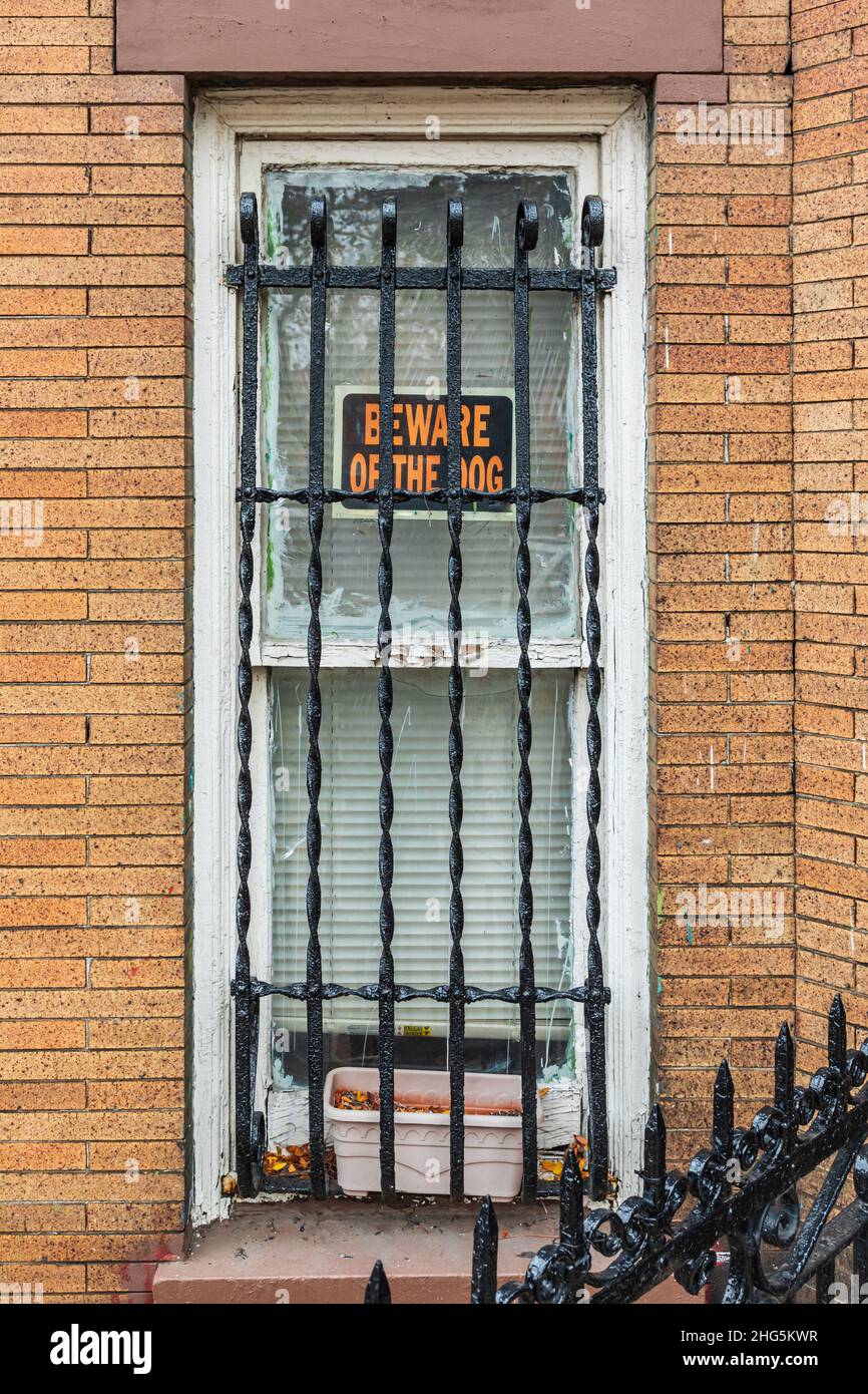 The Bronx, New York City, New York, USA. Beware of dog sign on a barred ...