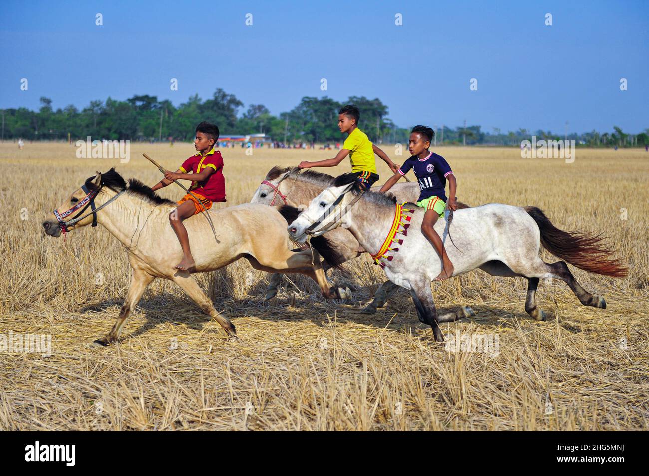 Rural horse race of bangladesh hi-res stock photography and images - Alamy