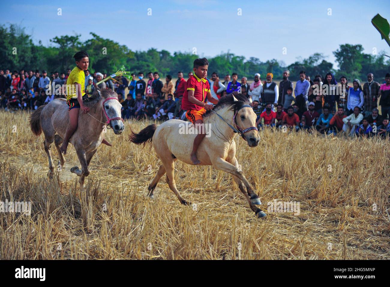 Rural horse race of bangladesh hi-res stock photography and images - Alamy