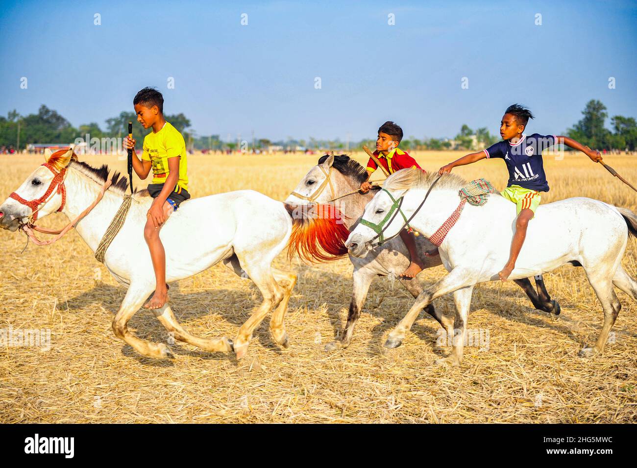 Rural horse race of bangladesh hi-res stock photography and images - Alamy