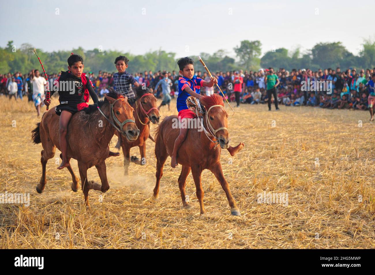 Rural horse race of bangladesh hi-res stock photography and images - Alamy