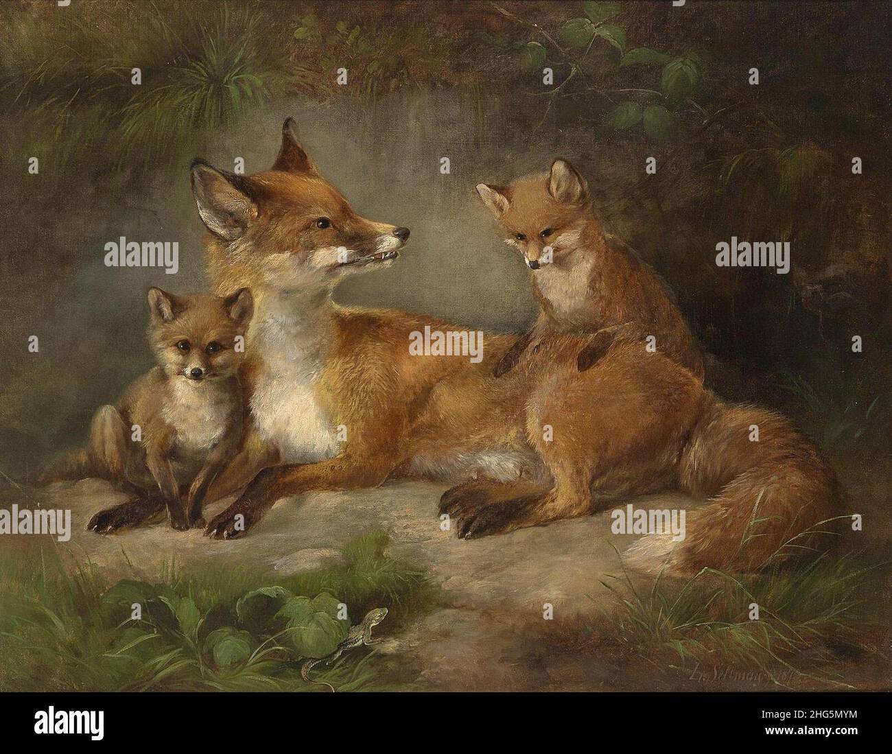 Fuchsfamilie hi-res stock photography and images - Alamy