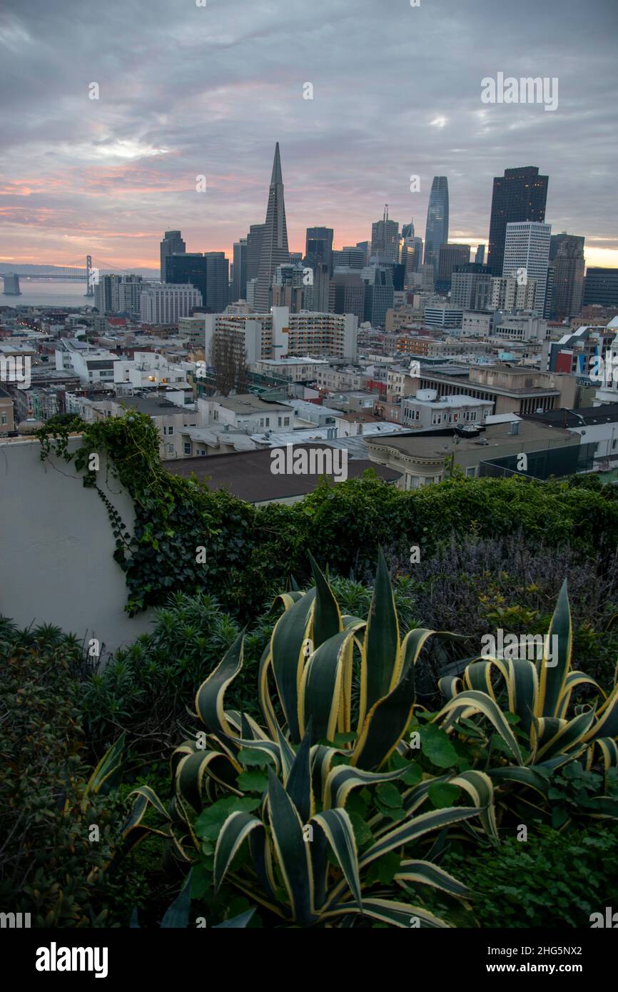 San Francisco's Ina Coolbrith Park provides some fantastic views of the ...