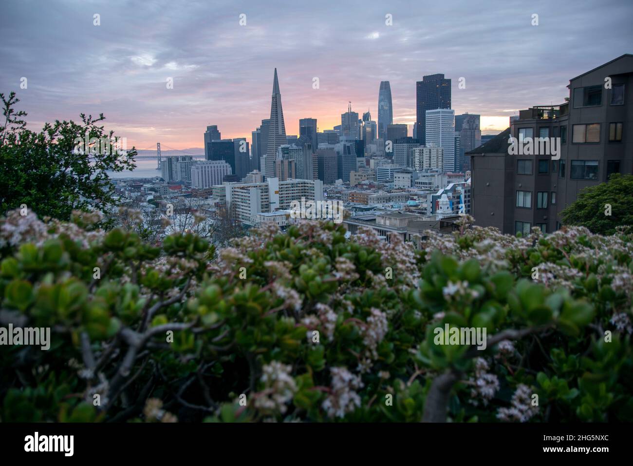 San Francisco's Ina Coolbrith Park provides some fantastic views of the ...