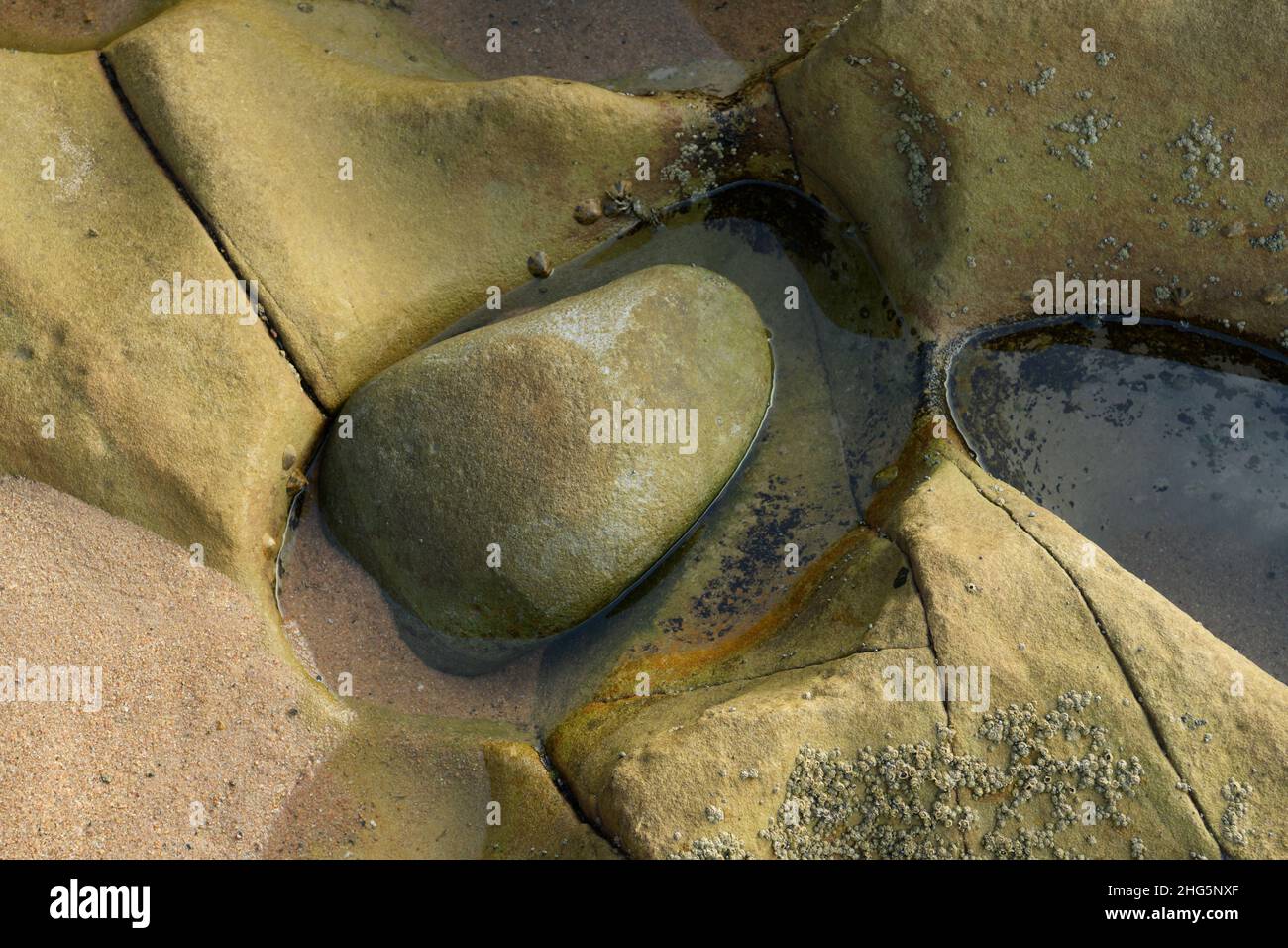 Rock, beauty in nature, Balito, coast, South Africa, beautiful close up ...