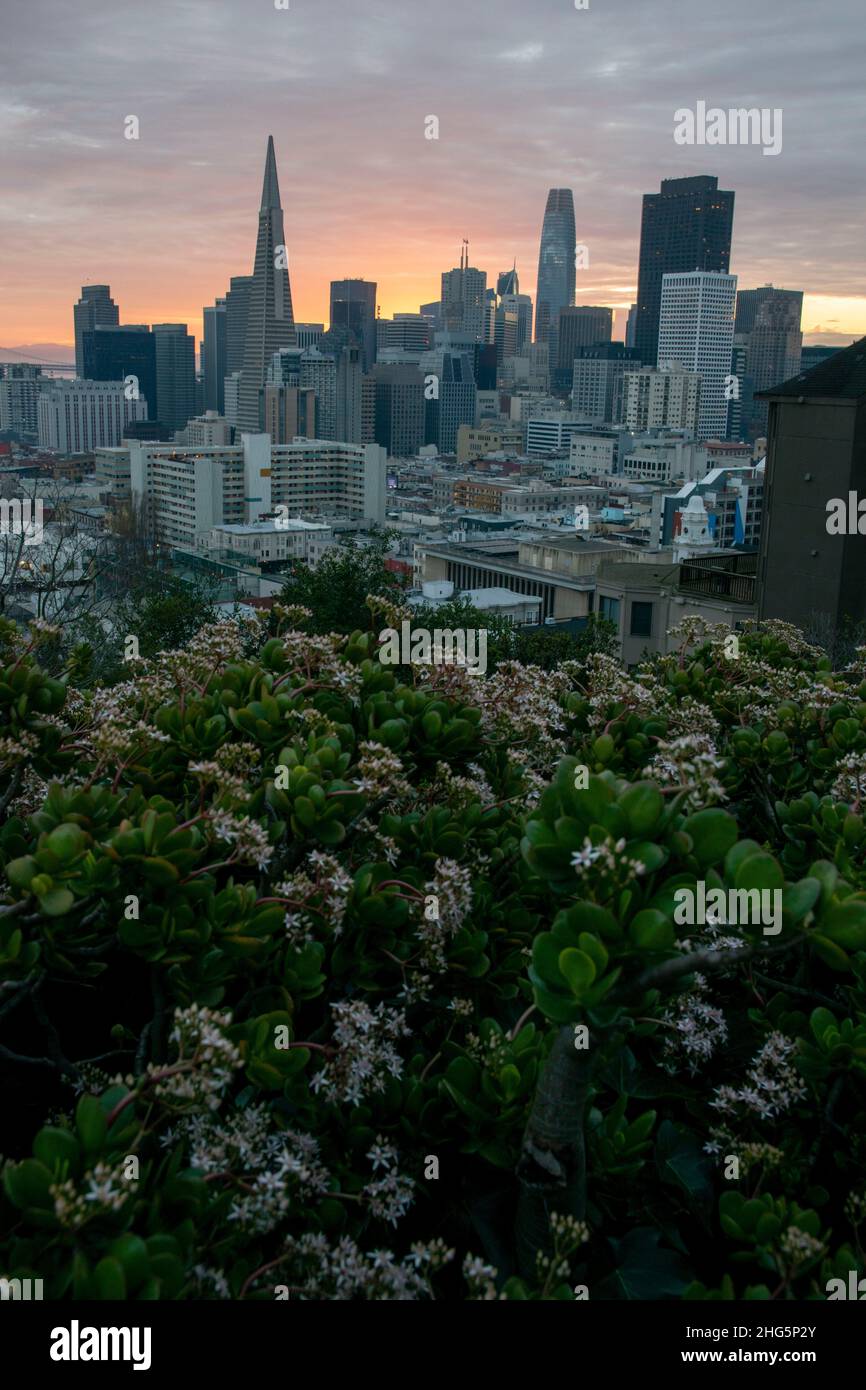 San Francisco's Ina Coolbrith Park provides some fantastic views of the ...