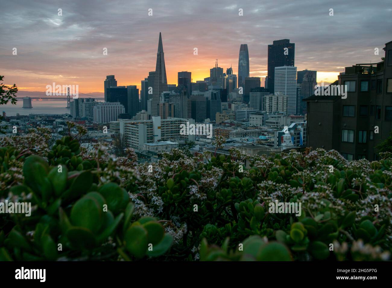 San Francisco's Ina Coolbrith Park provides some fantastic views of the ...