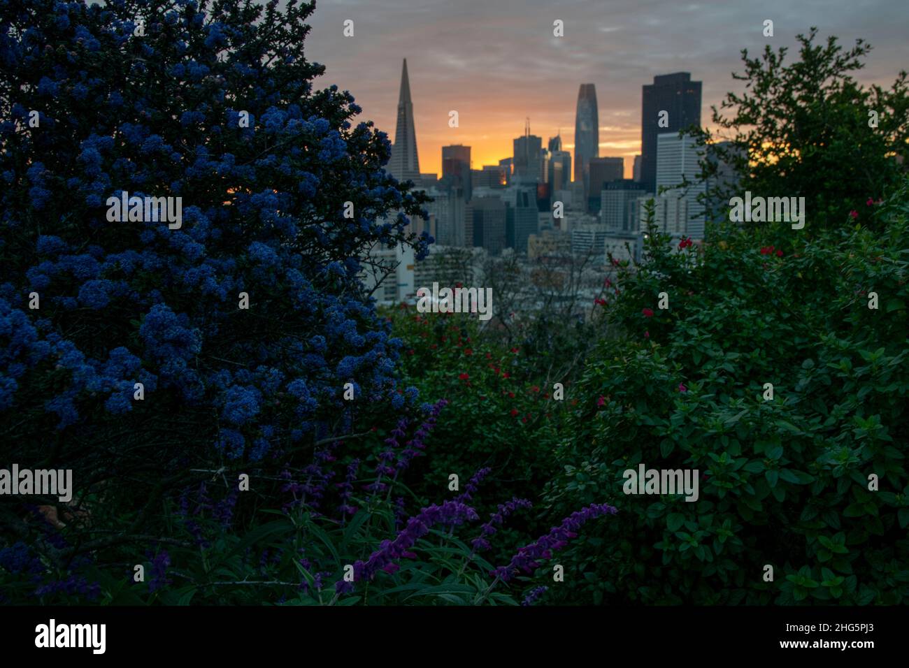 San Francisco's Ina Coolbrith Park provides some fantastic views of the ...