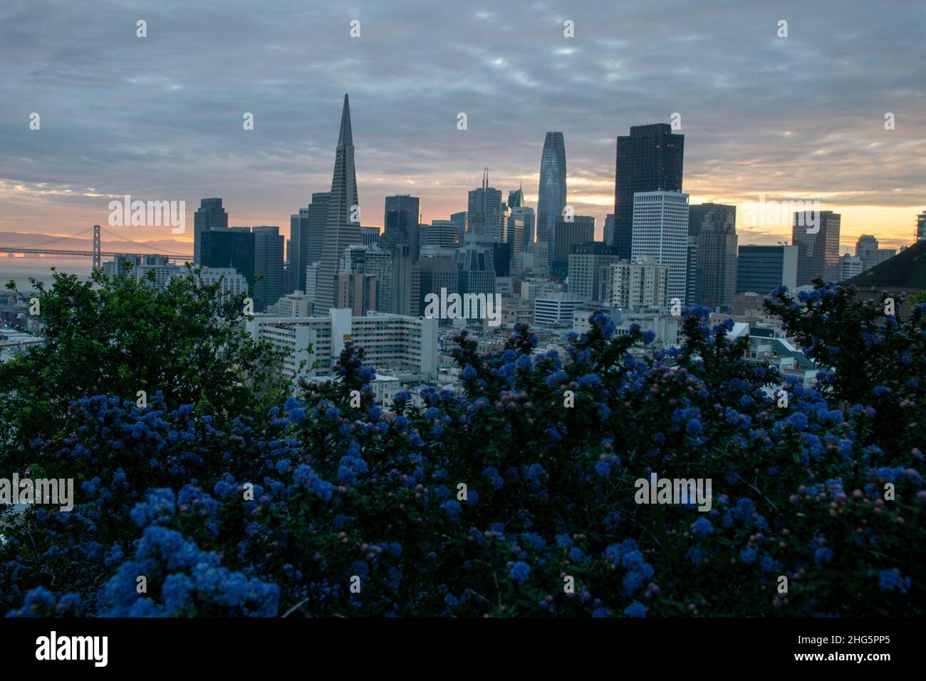 San Francisco's Ina Coolbrith Park provides some fantastic views of the ...