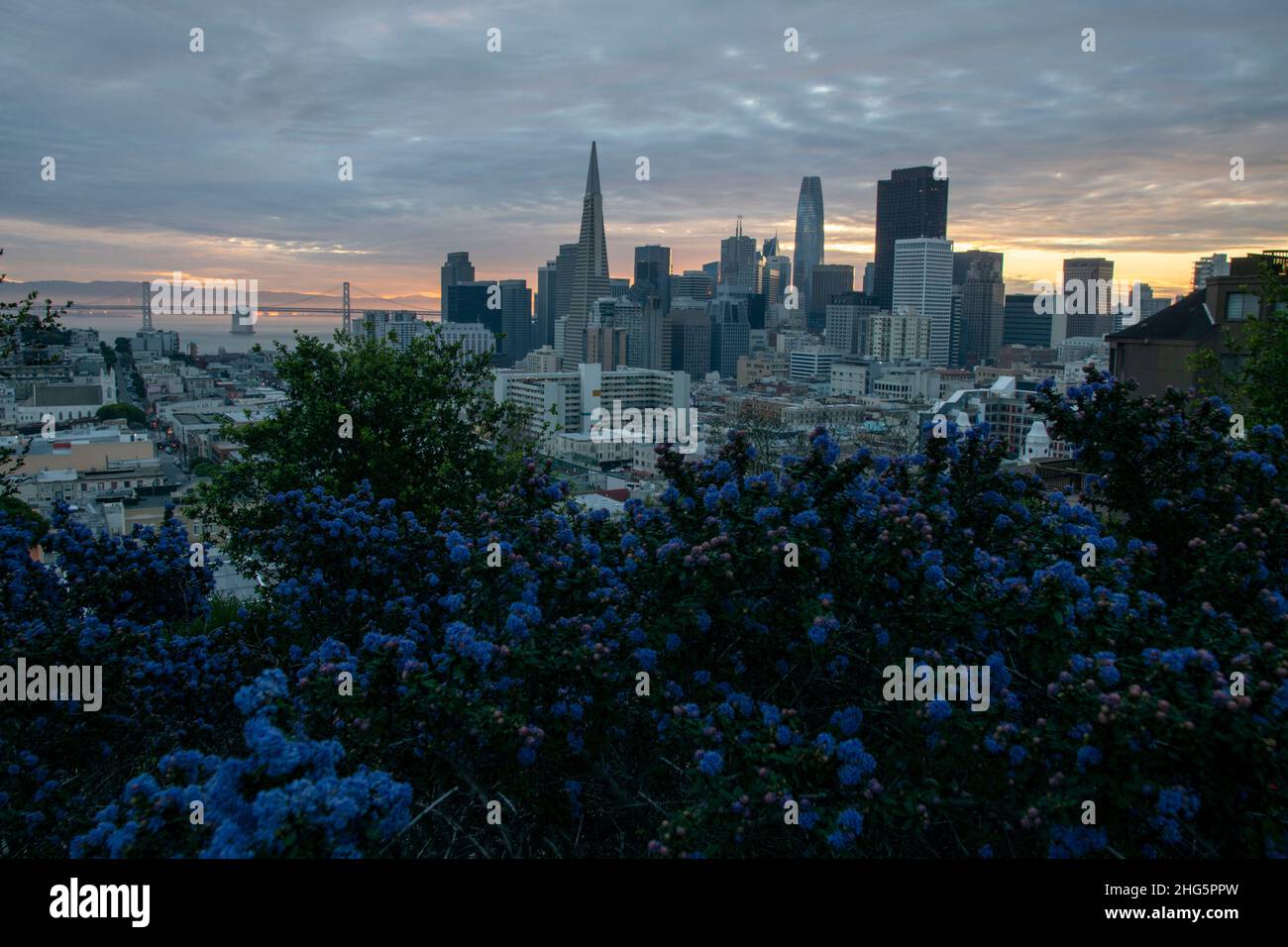 San Francisco's Ina Coolbrith Park provides some fantastic views of the ...