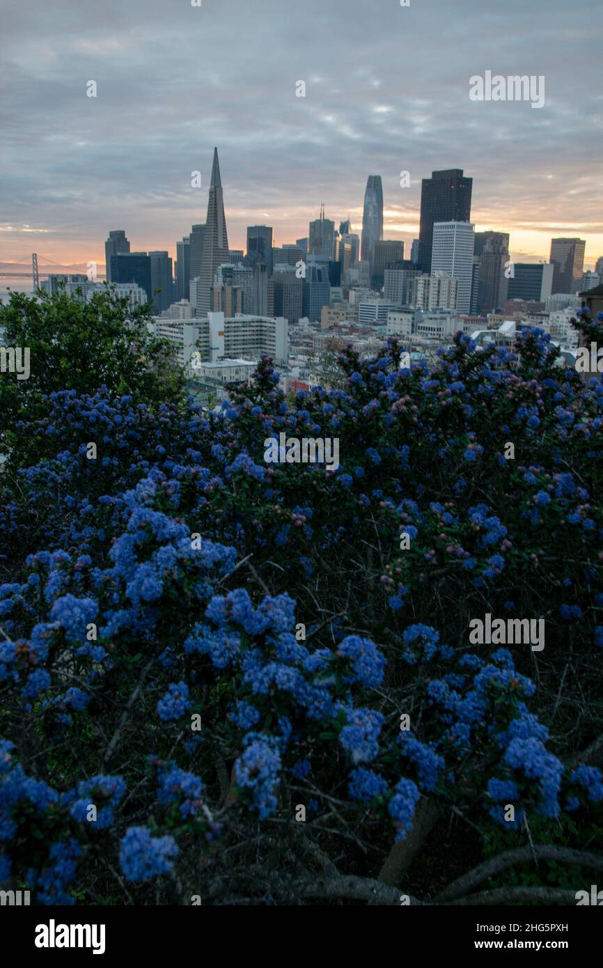 San Francisco's Ina Coolbrith Park provides some fantastic views of the ...