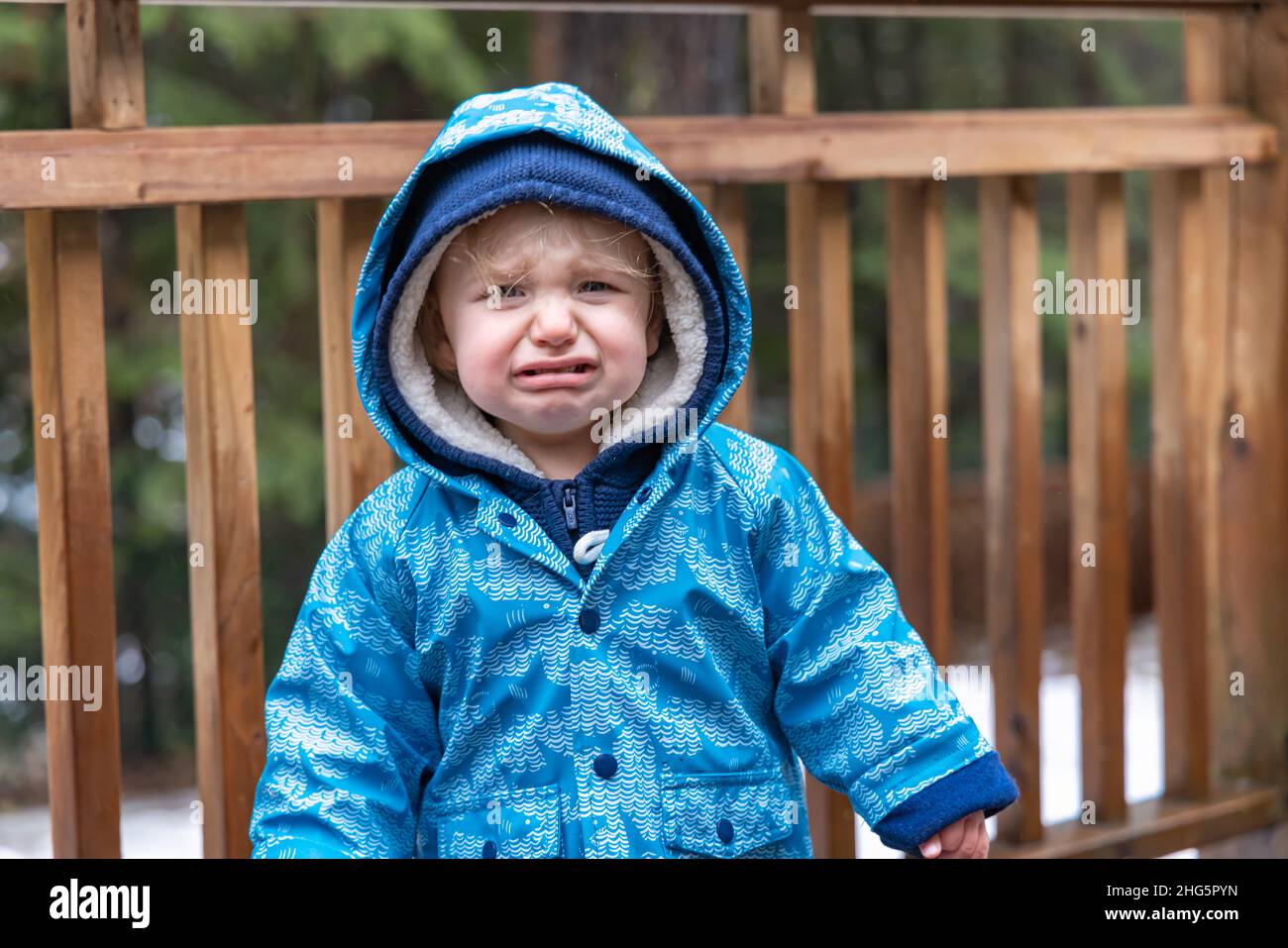 Closeup portrait of a three year old boy wearing a blue jacket with ...