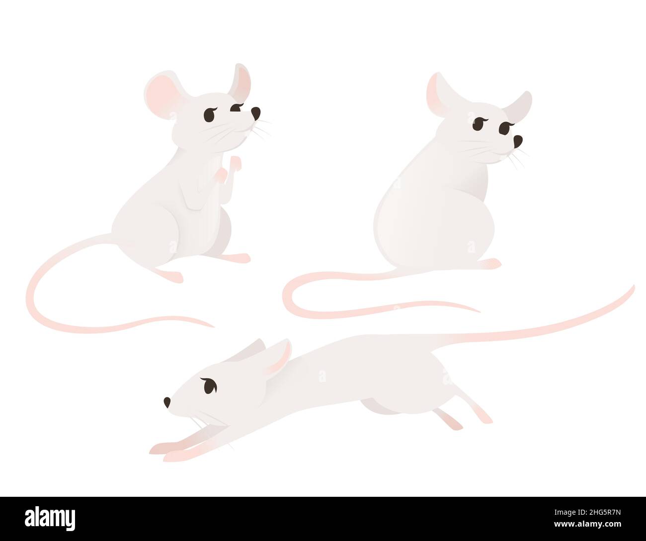 Cute little gray mouse. Cartoon animal character design. Flat vector ...