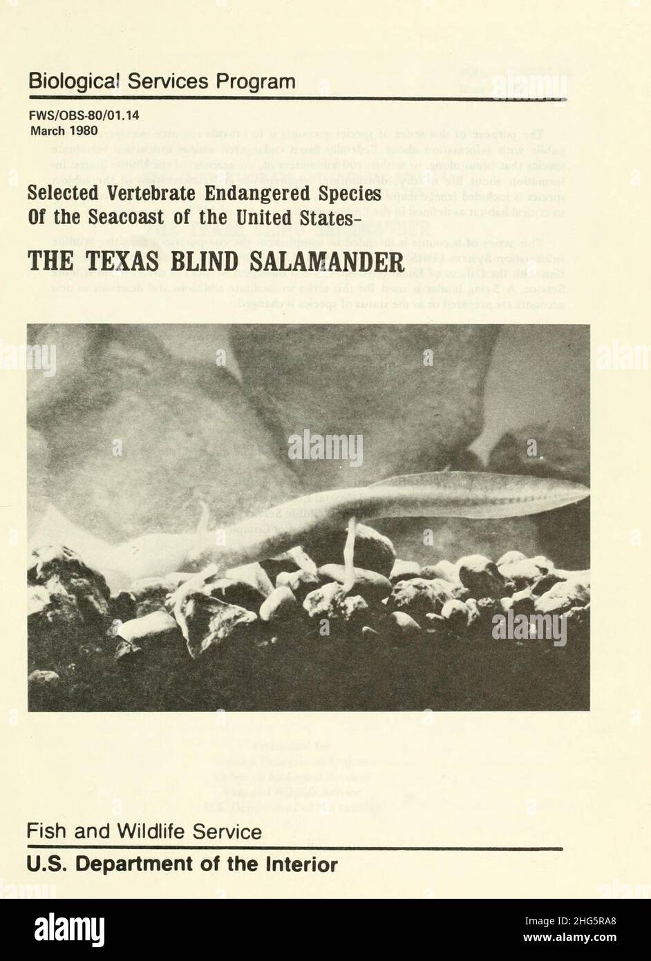 Selected vertebrate endangered species of the seacoast of the United ...