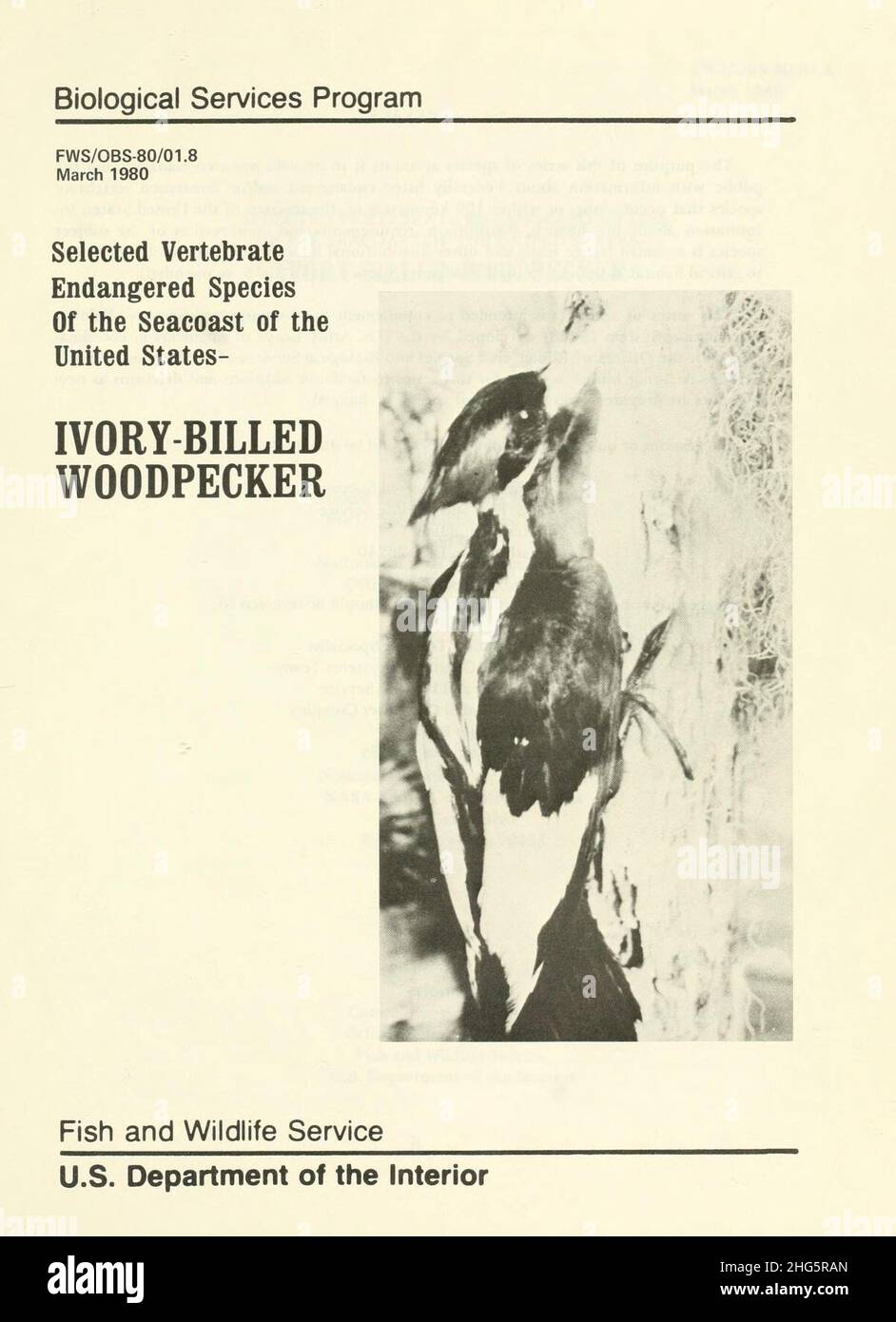 Selected vertebrate endangered species of the seacoast of the United ...