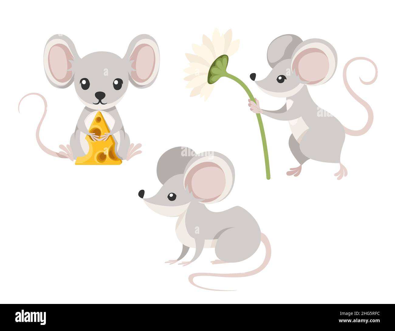 Cute little gray mouse sit on floor and hold cheese. Cartoon animal ...