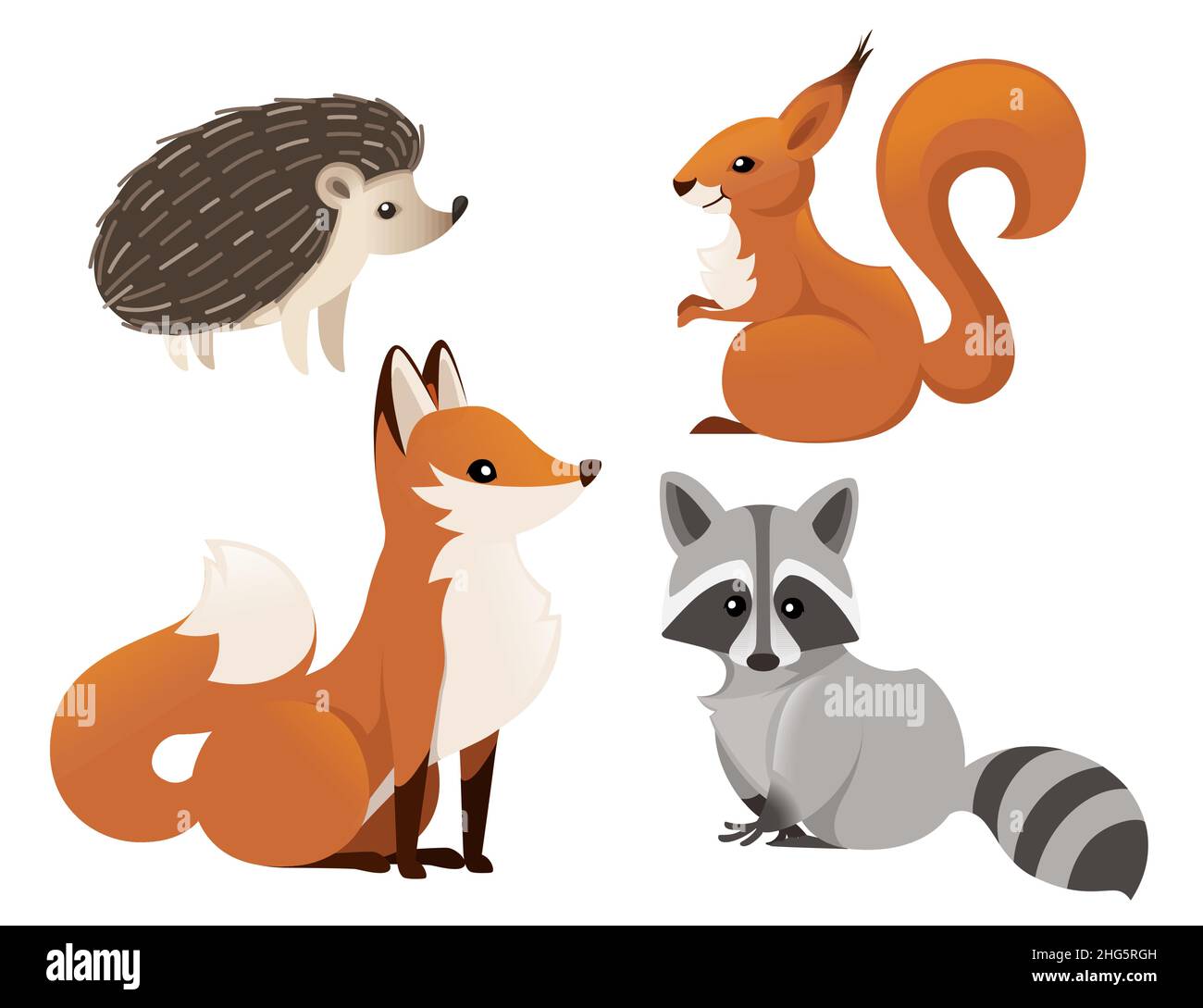 Set of cute woodland animals fox squirrel raccoon hedgehog isolated on ...