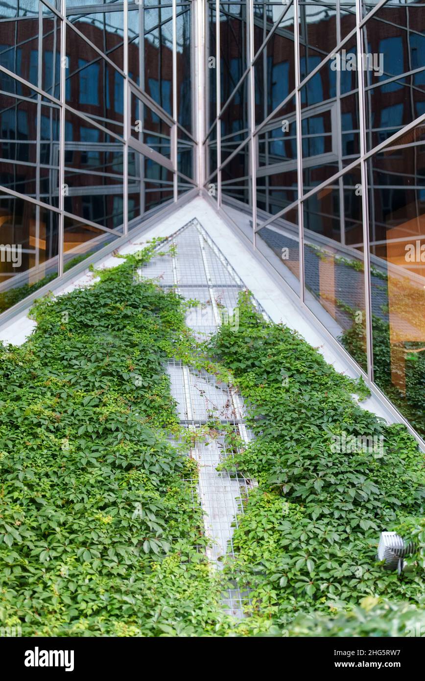 Eco-friendly office glass building with greenery Stock Photo - Alamy