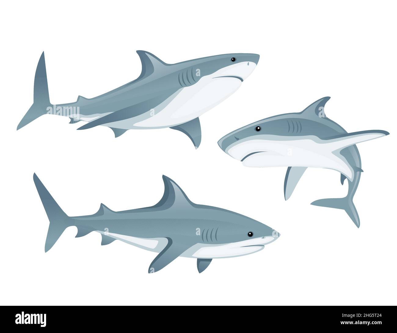 Set of shark with mouth closed giant apex predator cartoon animal ...