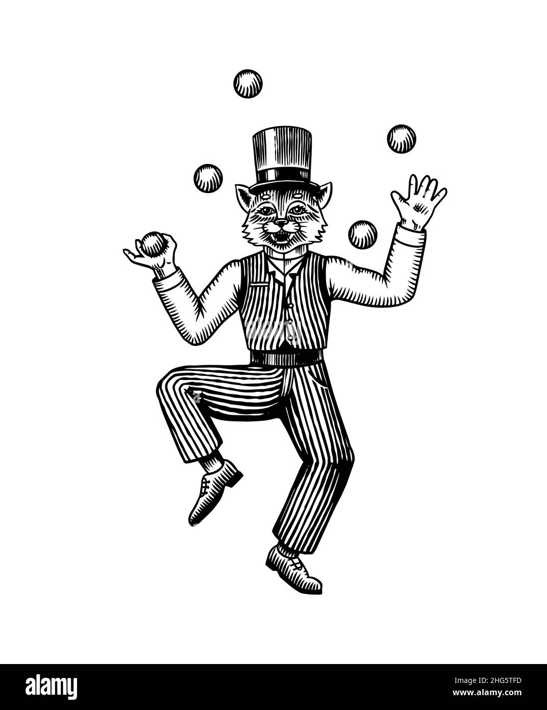 Cat juggler man in a suit and a hat with balls. Fashion animal ...
