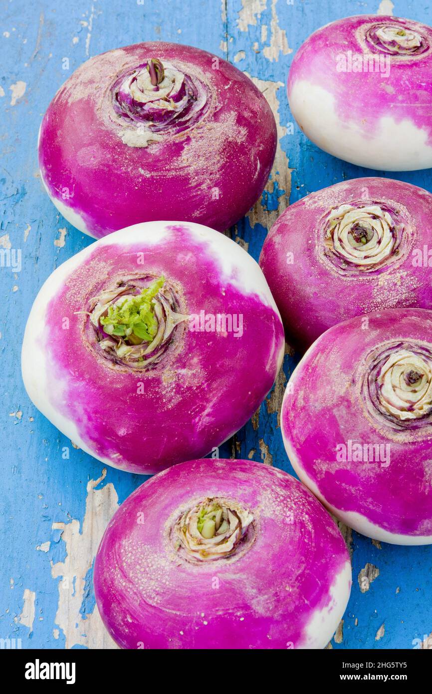 Turnips red radish hi-res stock photography and images - Alamy