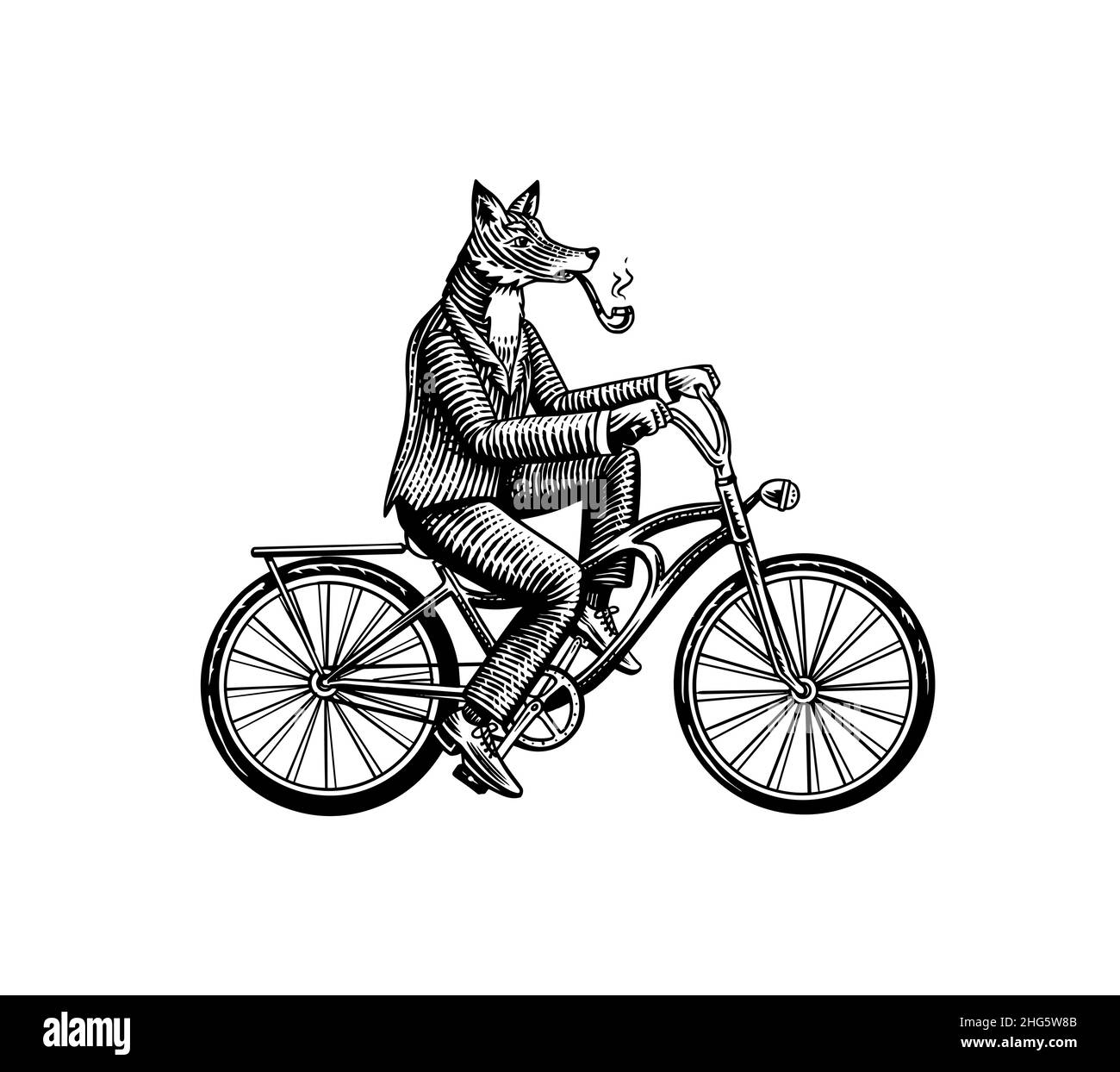 Male fox Black and White Stock Photos & Images - Alamy