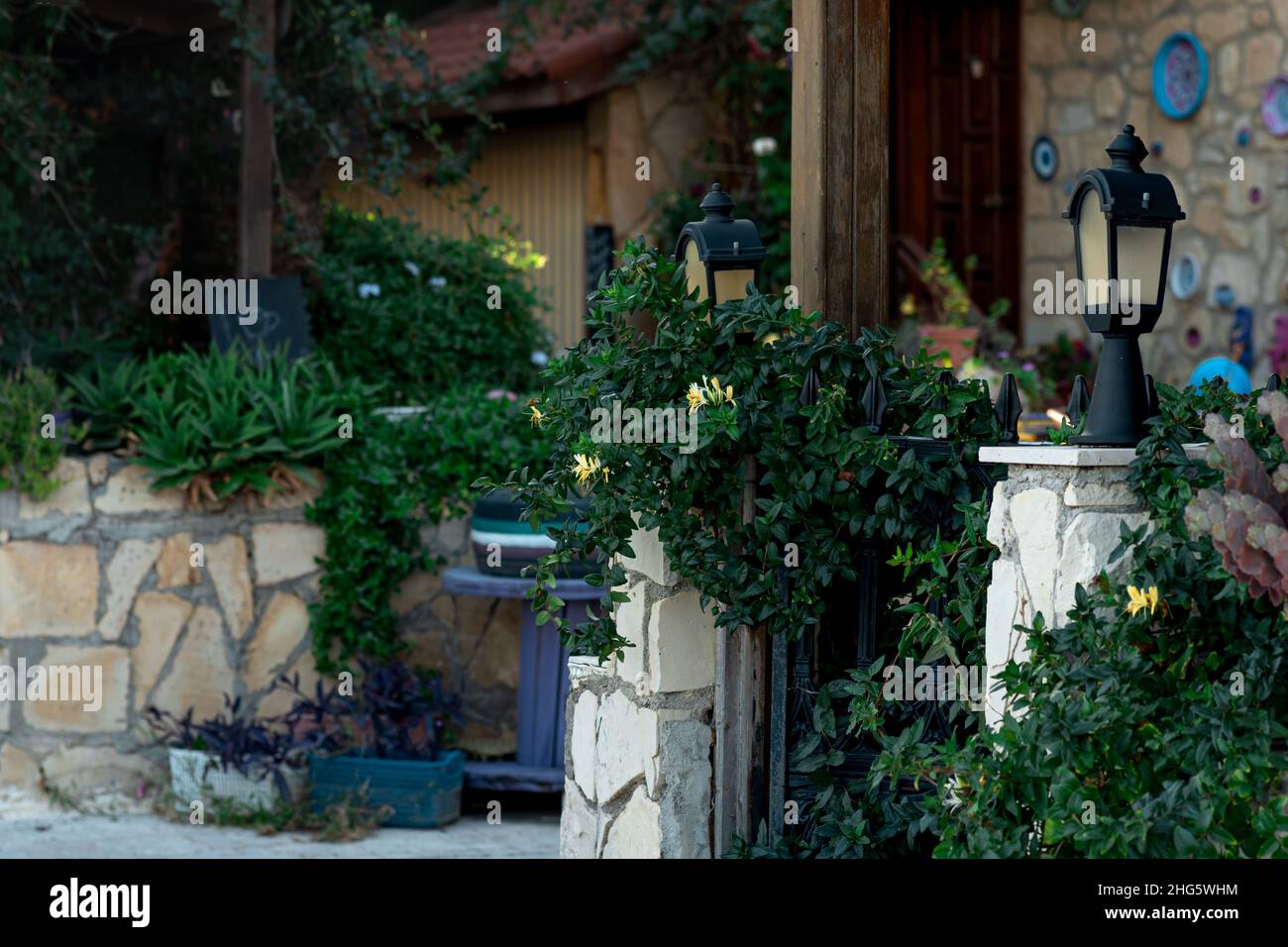 ornamental plants at the entrance to an small restaurant in a tourist ...