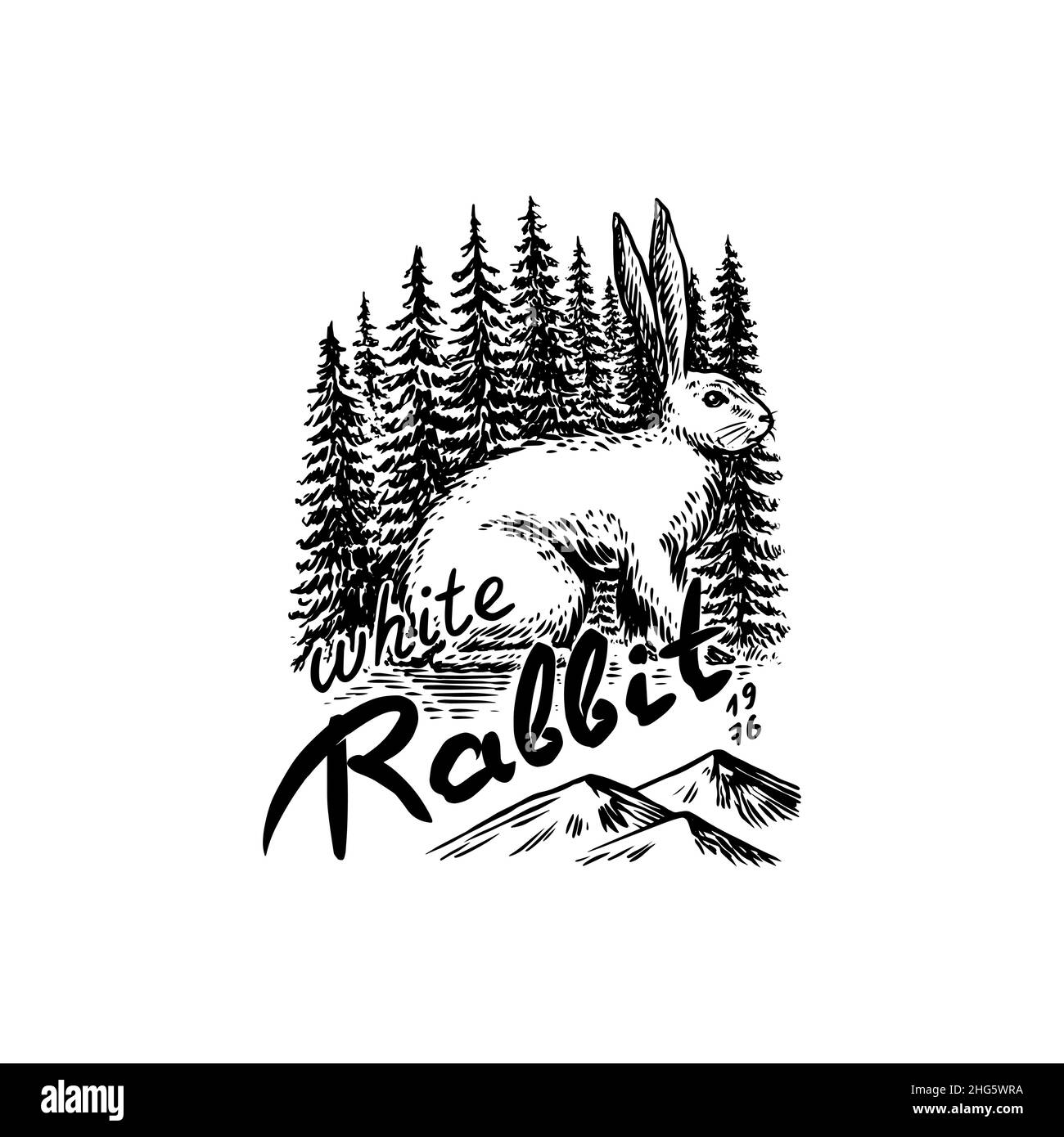 Vintage line drawings of animals Cut Out Stock Images & Pictures - Alamy