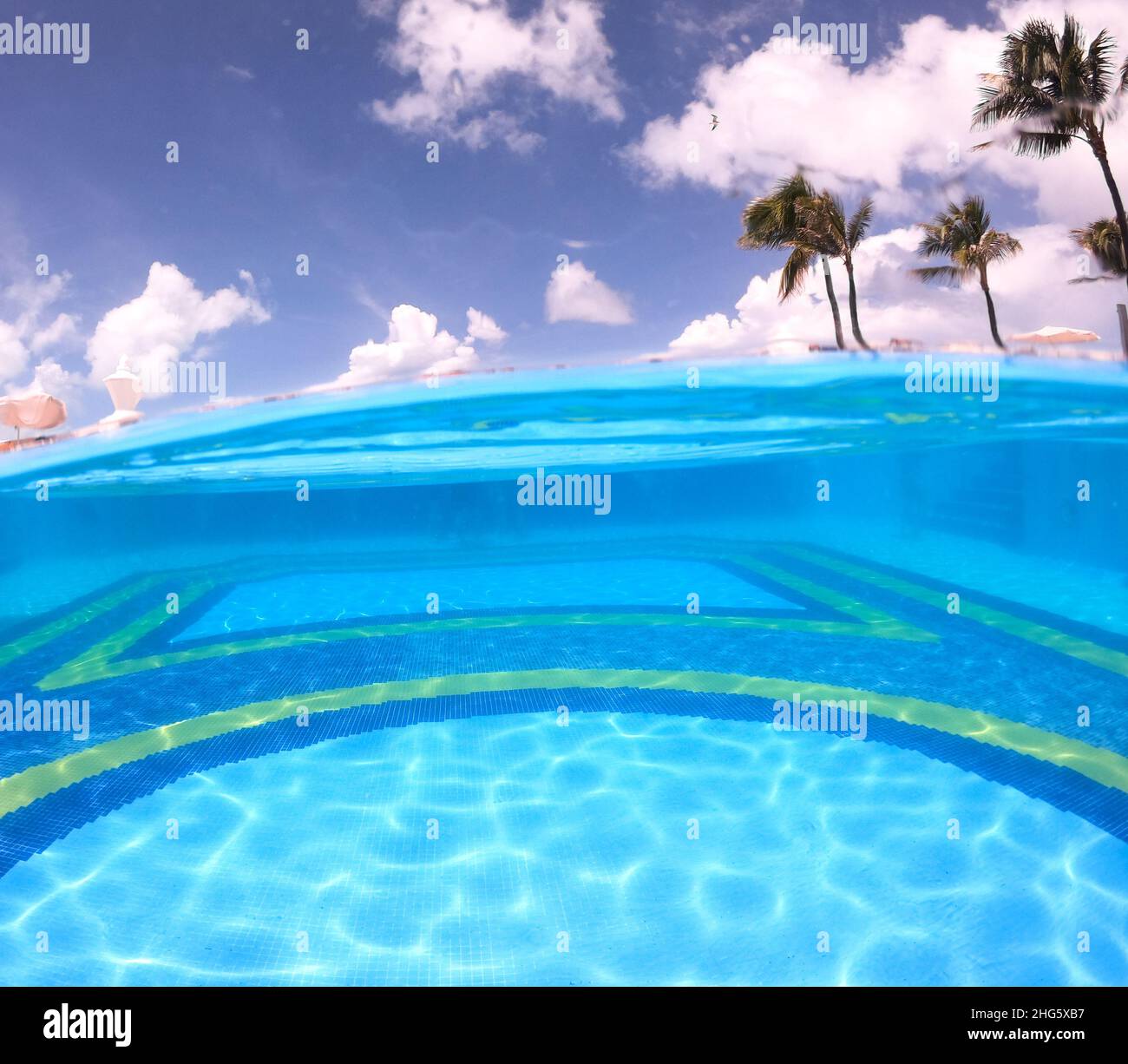 Split photo of an empty pool and blue sky with palm trees Stock Photo ...