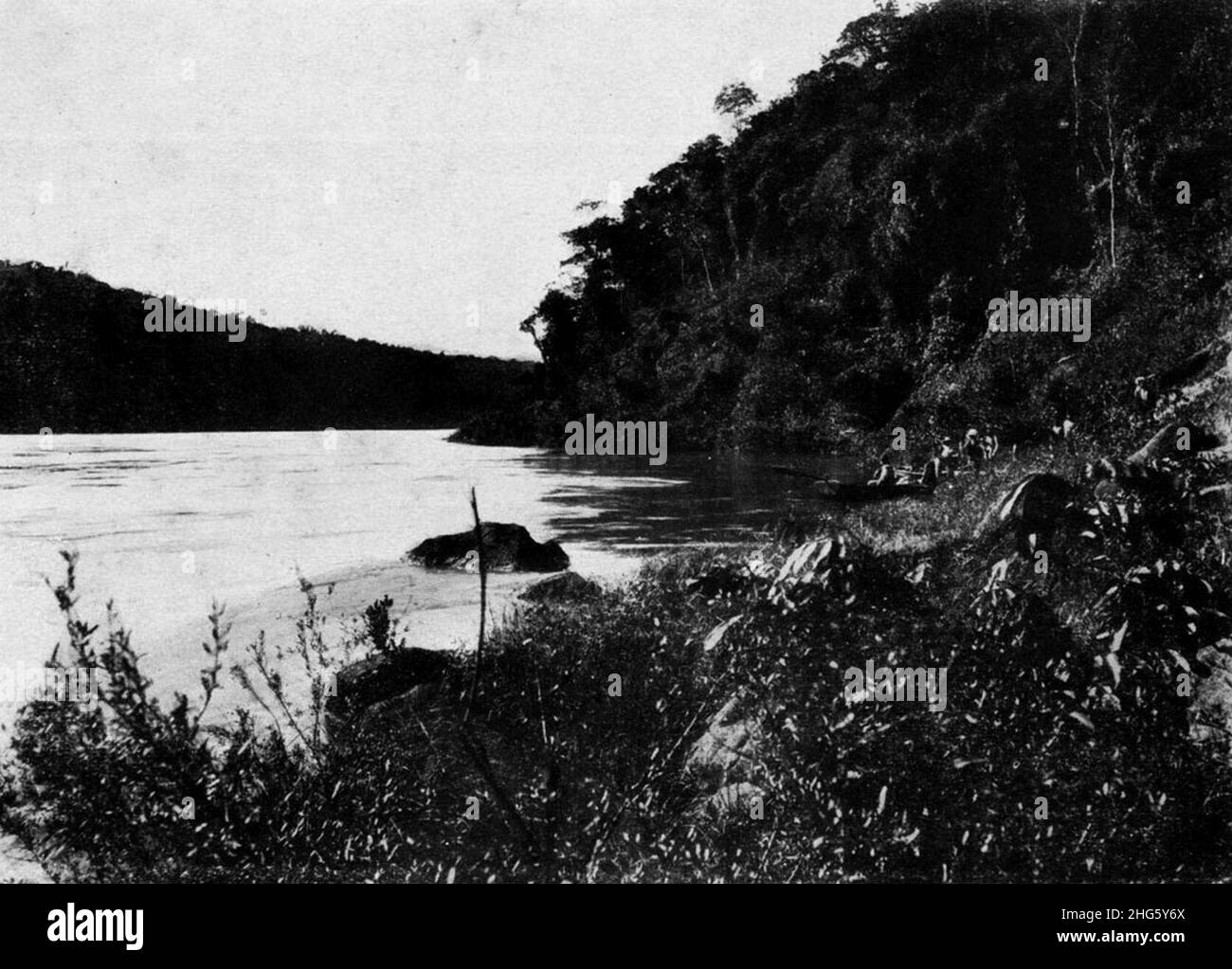 The selva Black and White Stock Photos & Images - Alamy