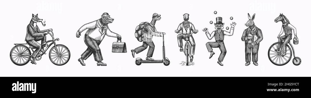 Evolution Bicycle Drawing