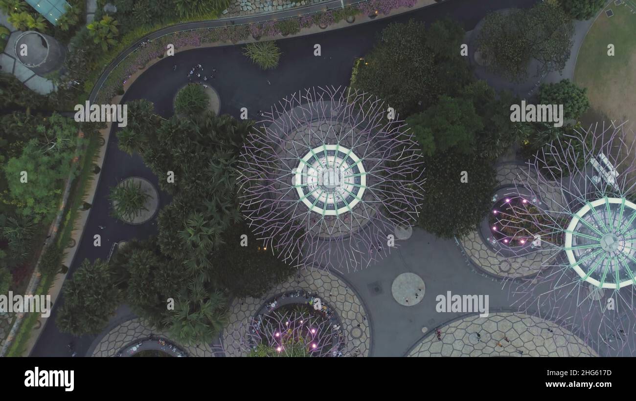 Aerial top view for Supertree grove in Gardens by Marina Bay Sands in ...