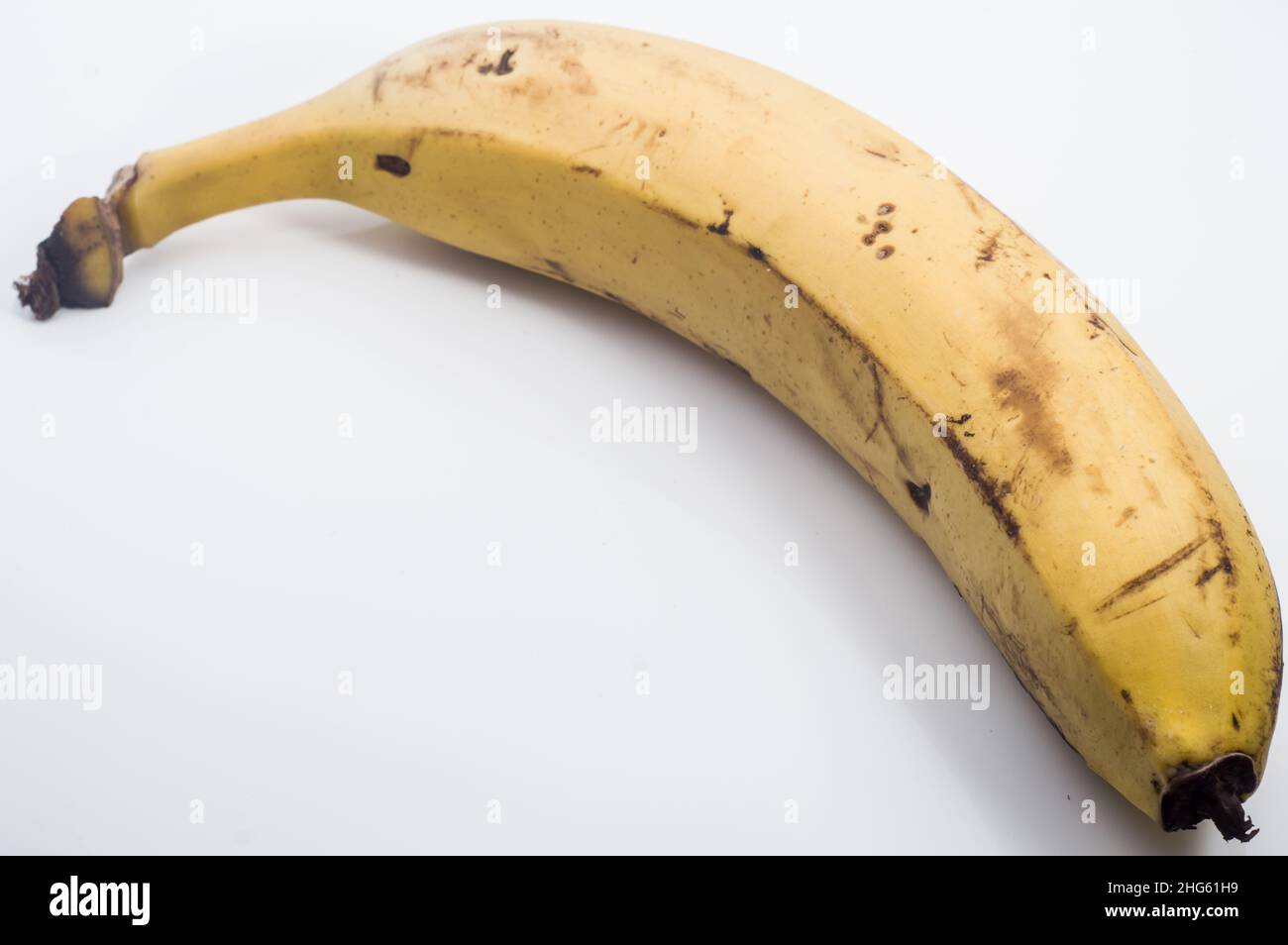Brazilian dwarf banana alone with white background for clipping and ...