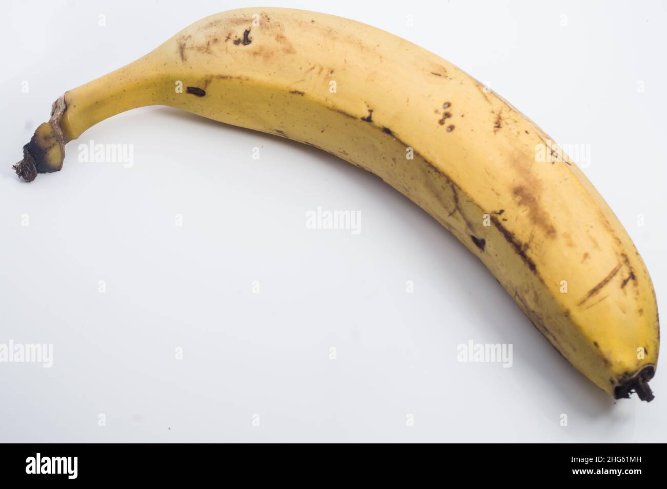 Brazilian dwarf banana alone with white background for clipping and ...