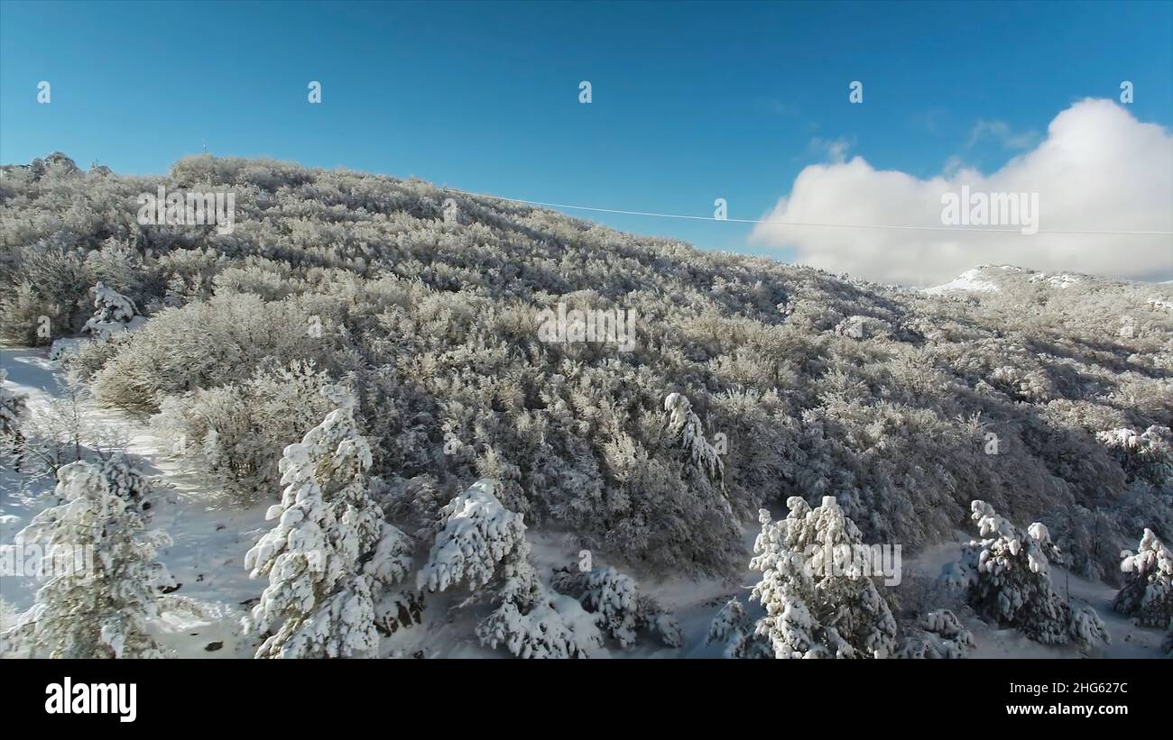Fabulous winter landscape, mountains and forest covered with snow on ...