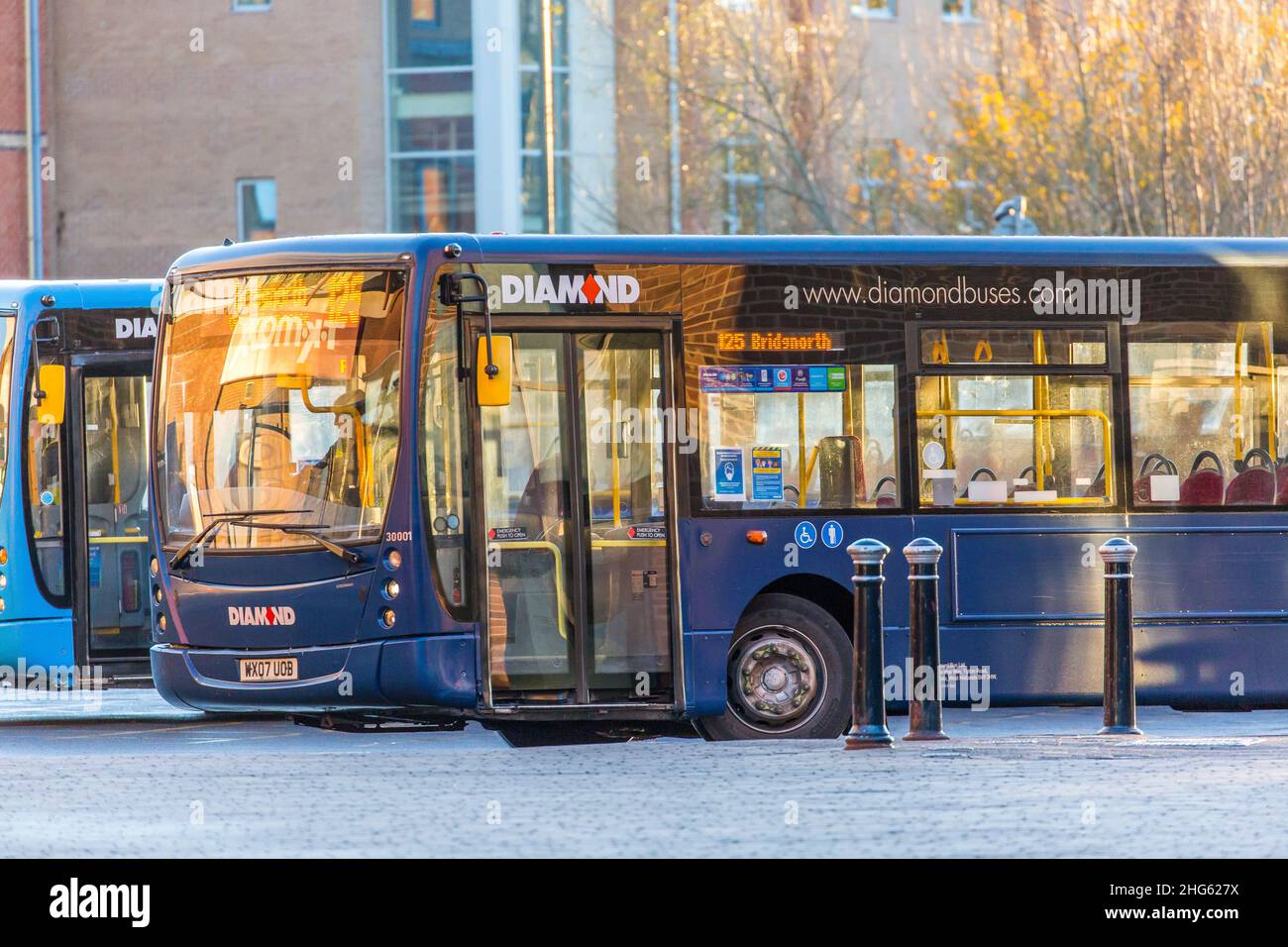 Diamond buses parked Stock Photo - Alamy