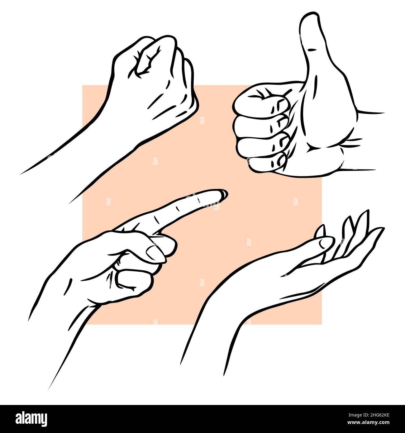 A set of sketches of hands on a white background. Fist gestures ...