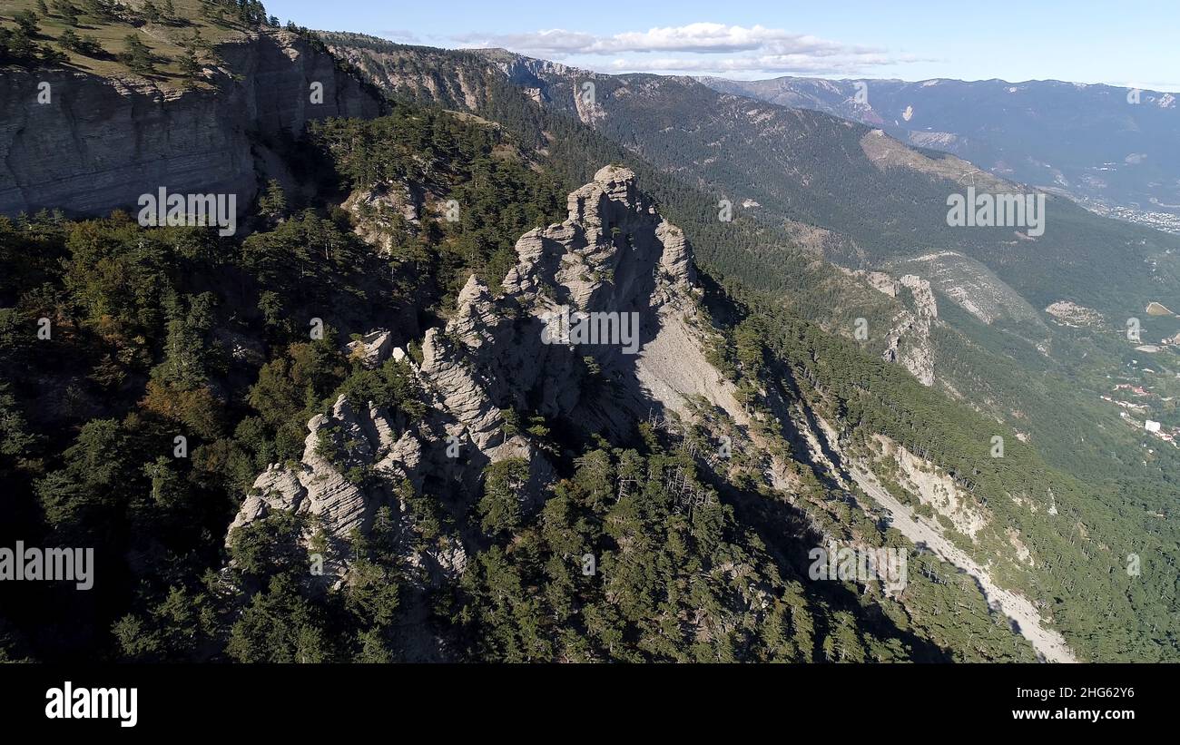 The mountains and cliffs covered by green forest. Pine trees on the ...