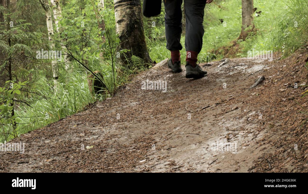 Rear view of young man walking on the trail path in summer green forest ...