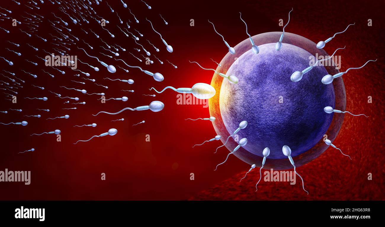 Fertility And Reproduction Concept As A Microscopic Sperm Or