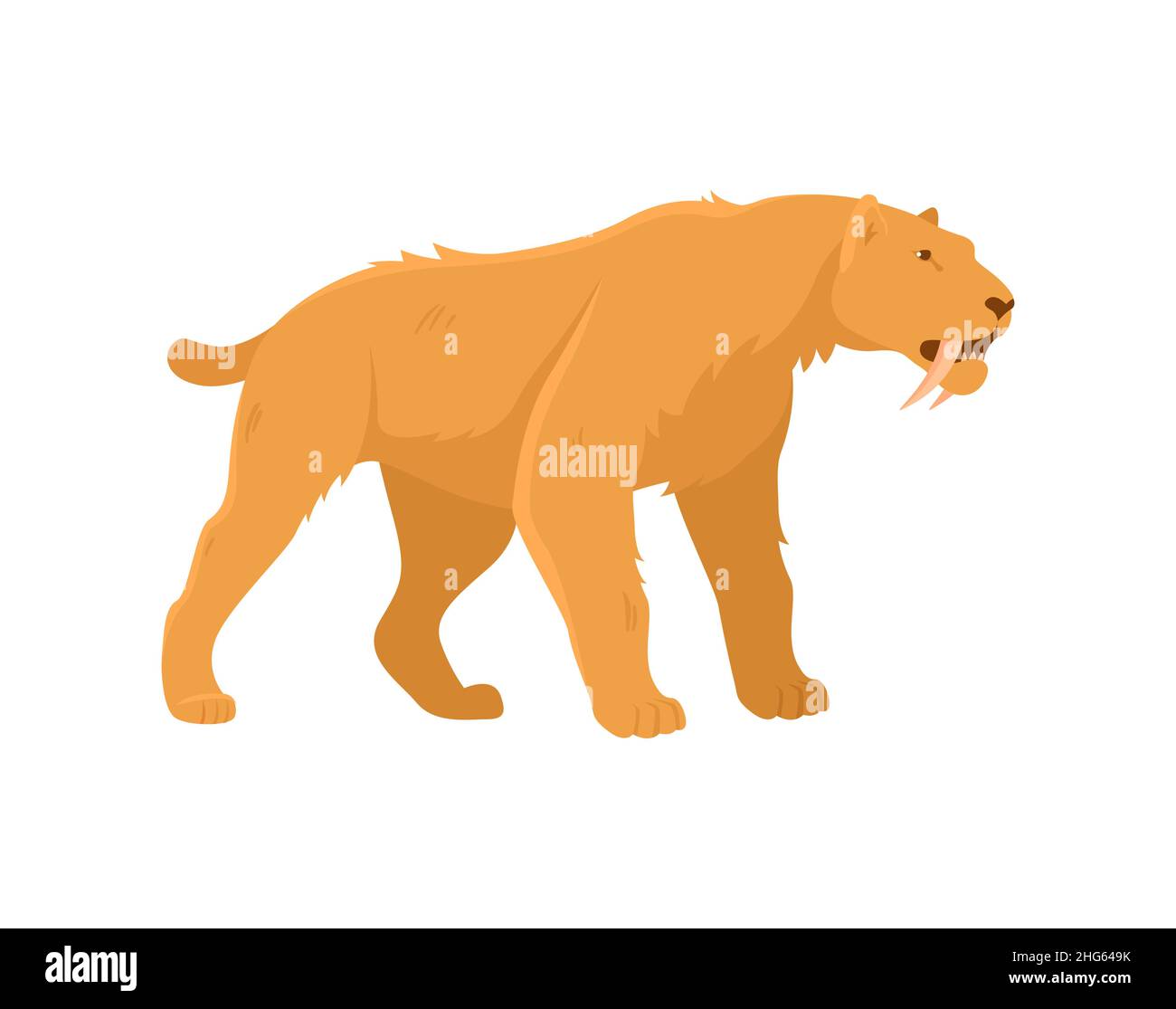 Evolution of life forms on Earth concept Stock Vector Image & Art - Alamy