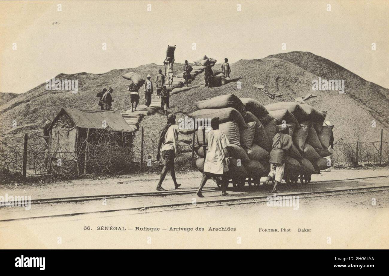 Senegal - Rufisque - Arrivage des Arachides (Frontier photo Dakar Stock ...